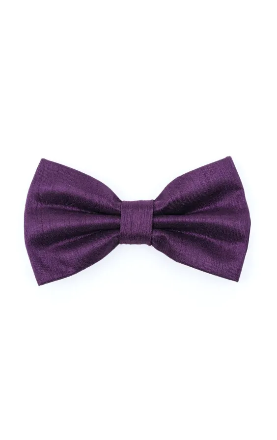 Dark Purple Dupion Bow Tie | Dobell
