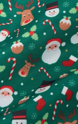 Santa & Friends Green Christmas Suit | Dobell